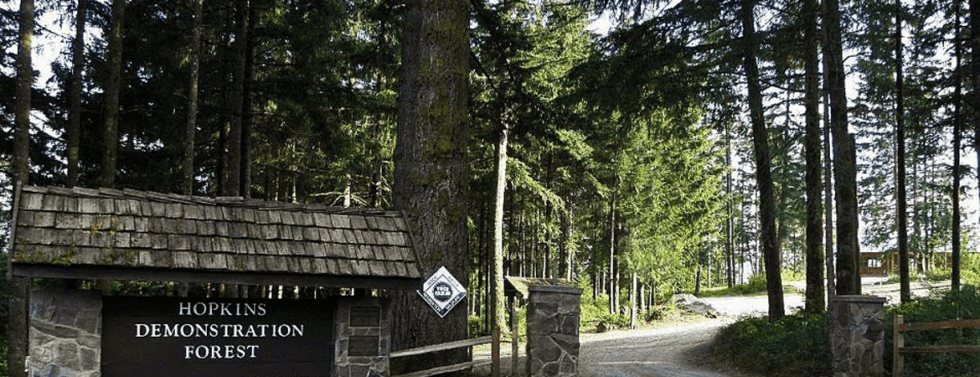 Hopkins Demonstration Forest | Operated by Forests Forever, Inc.